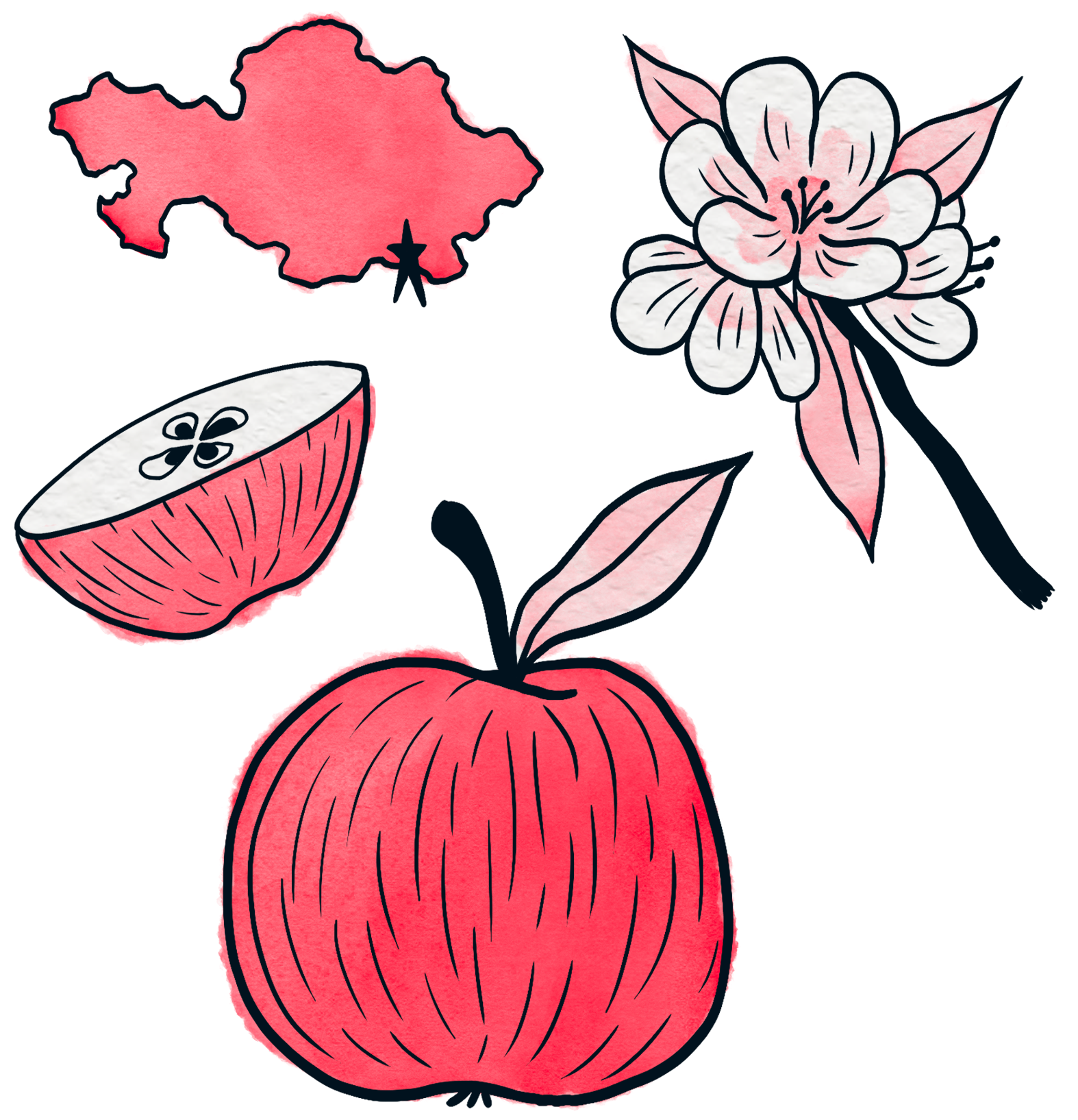 Learning in Depth: Comprehensive Learning Overview – Modulo