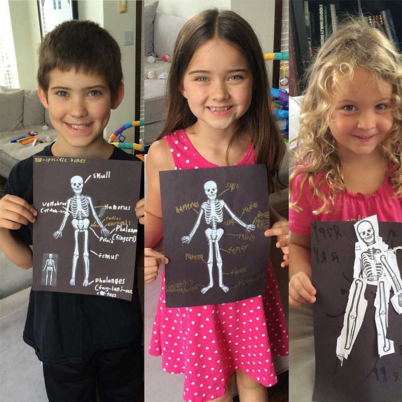 REAL Science Odyssey Level 1 (Grades K-6) – Modulo