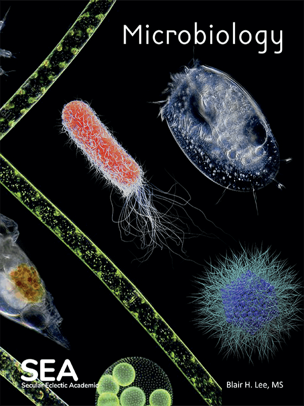 Microbiology: The Hands-On Science Series – Modulo