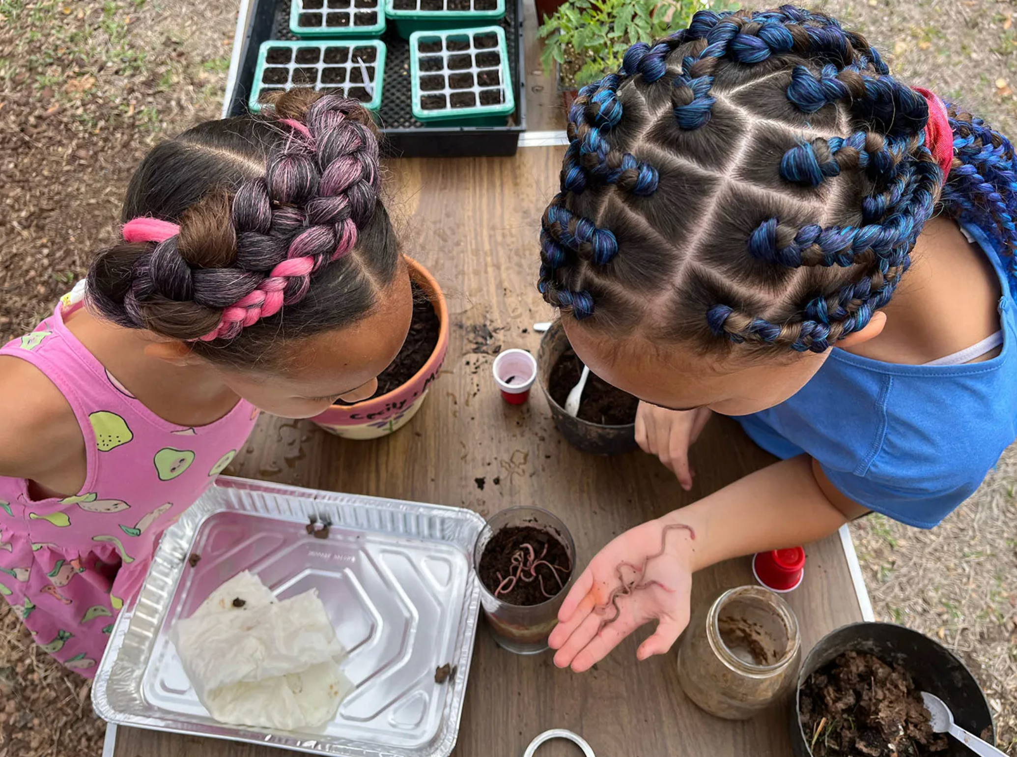REAL Science Odyssey: A High-Quality Review for Intentional Families ...