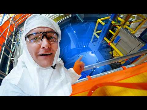 SmarterEveryDay: Professional Insights You Can Trust – Modulo