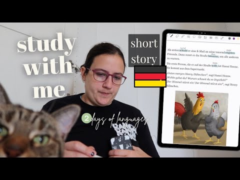 The German Project: Is It Right for Your Child? – Modulo